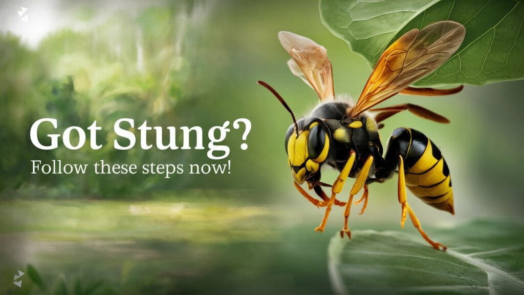 Effective Wasp Sting Remedy: Quick Relief Tips and Treatments – Lori Ballen